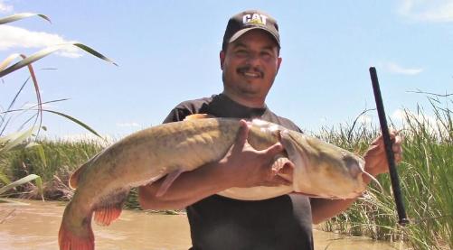 Muddy River Catfishing - Home